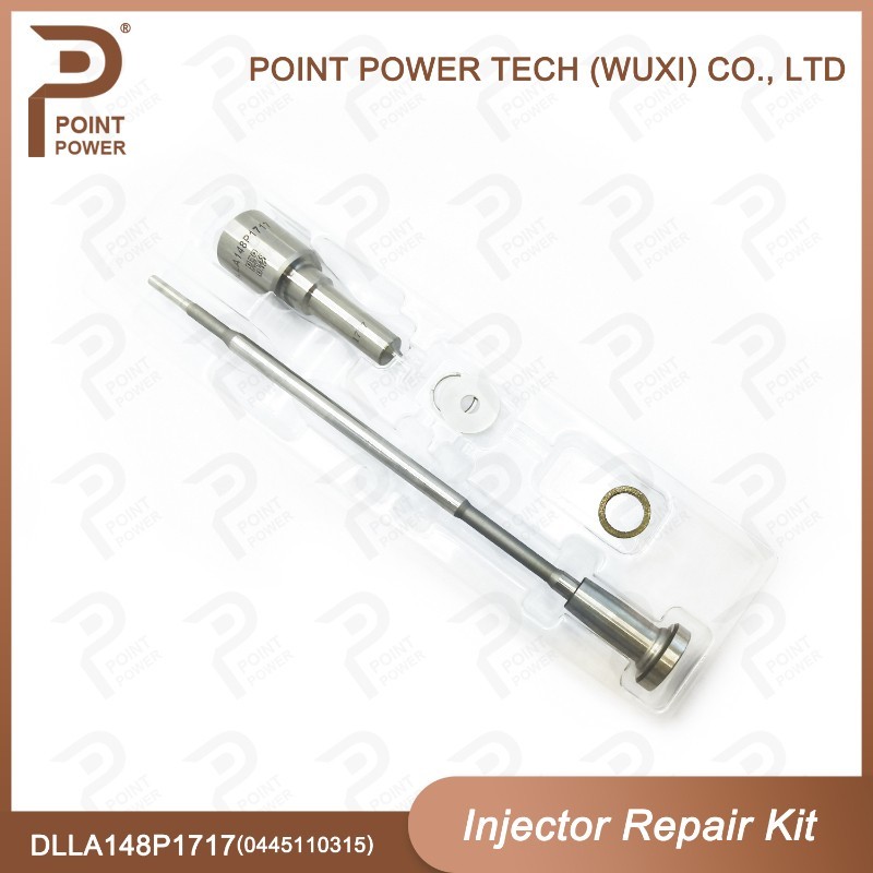 0445110315 Bosch Injector Repair Kit With DLLA148P1717 Nozzle common ...